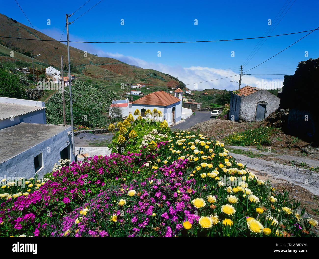 Flowers and houses, Tinor, El Hierro, Canary Islands, Spain Stock Photo ...