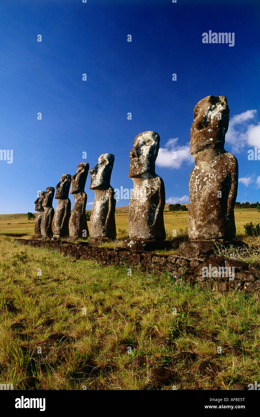 Seven Moai in the landscape north of Hanga Roa, Ahu A Kivi, Osterinsel ...