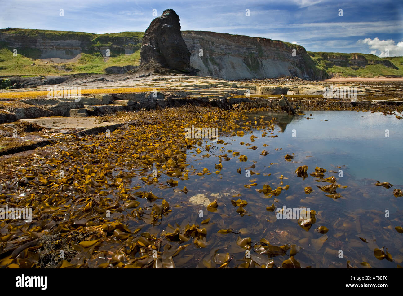 Saltwick Bay Whitby Yorkshire UK July Stock Photo - Alamy