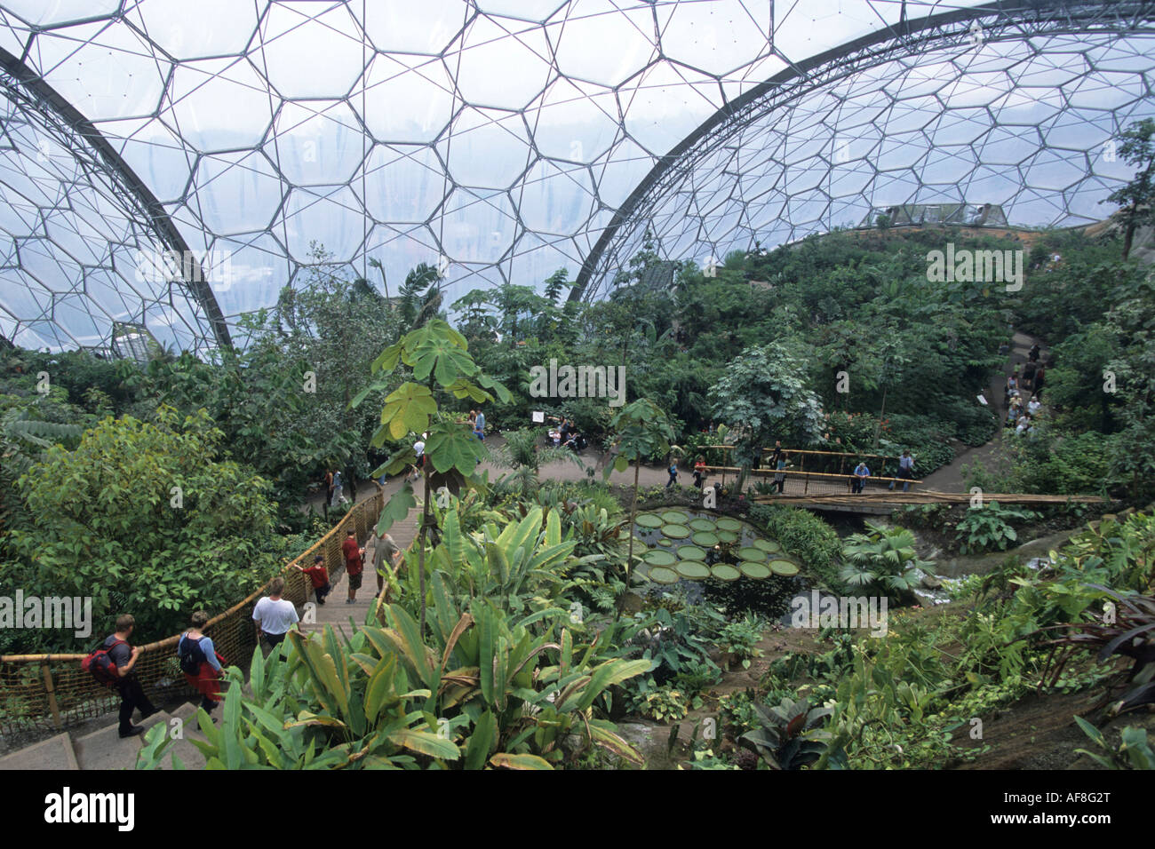 Humid tropics hi-res stock photography and images - Alamy