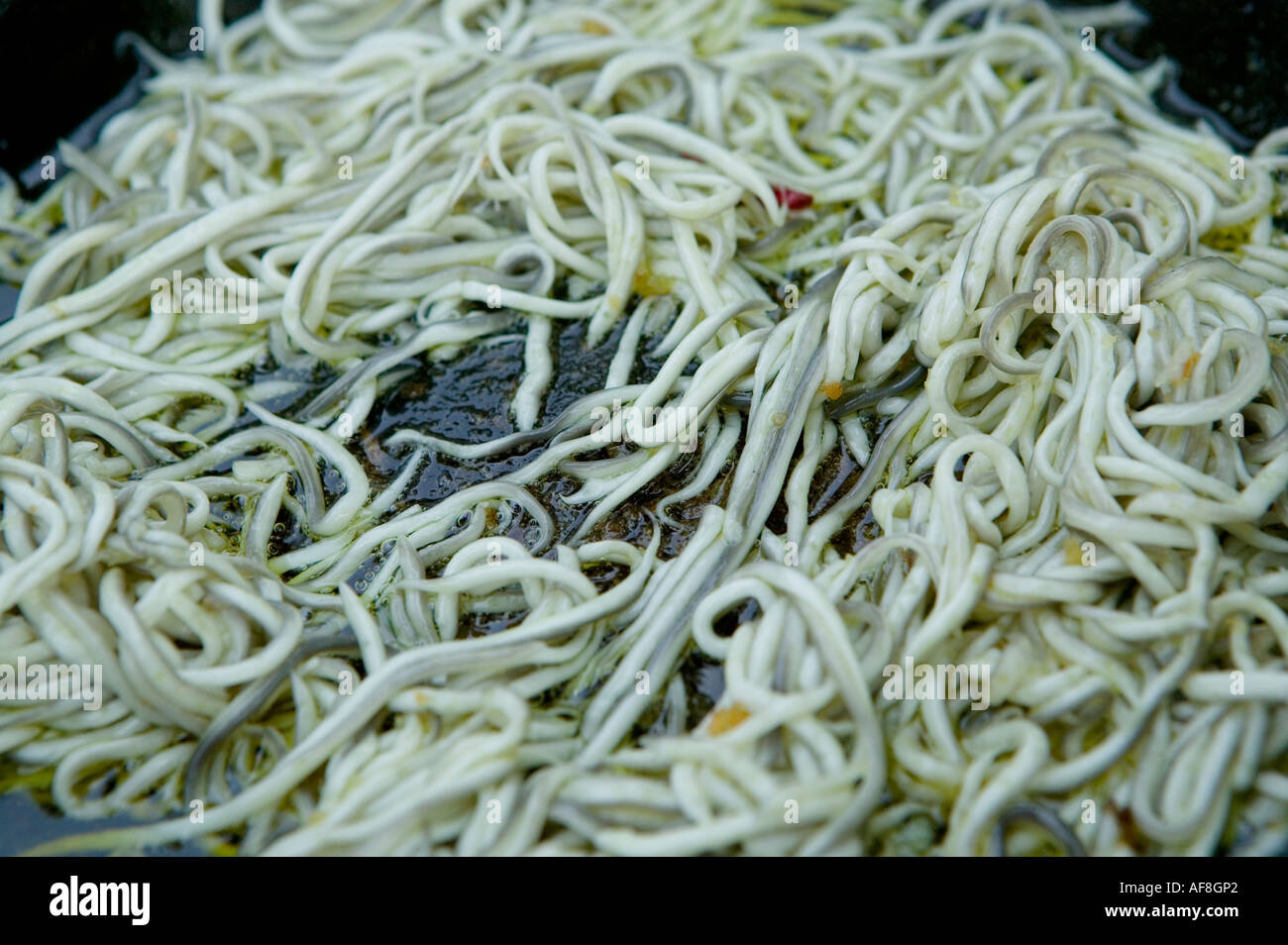 Angulas (baby eels or elvers) frying in pan for pintxos Plaza Arenal ...