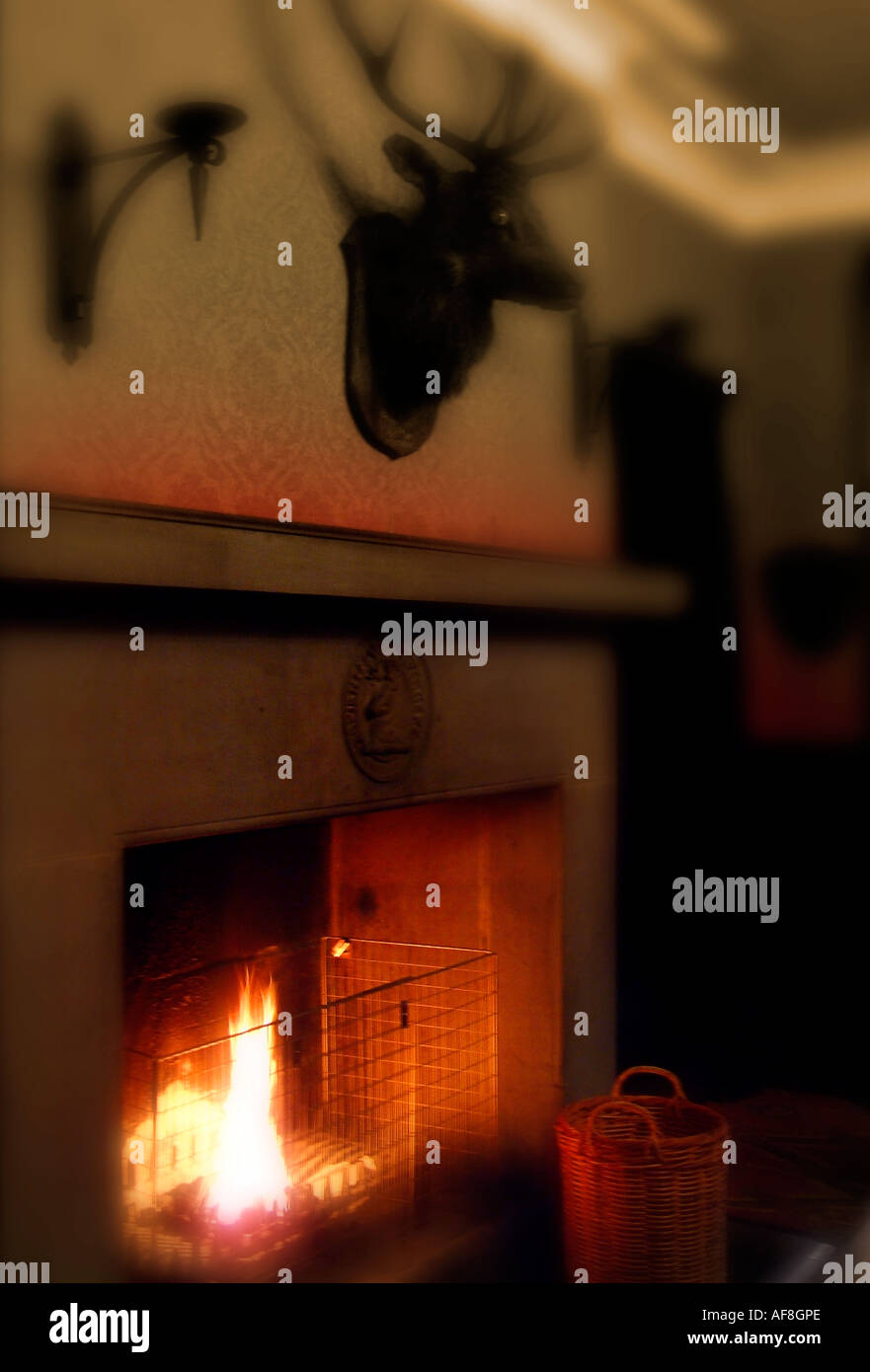 Fire guard fireplace hi-res stock photography and images - Alamy