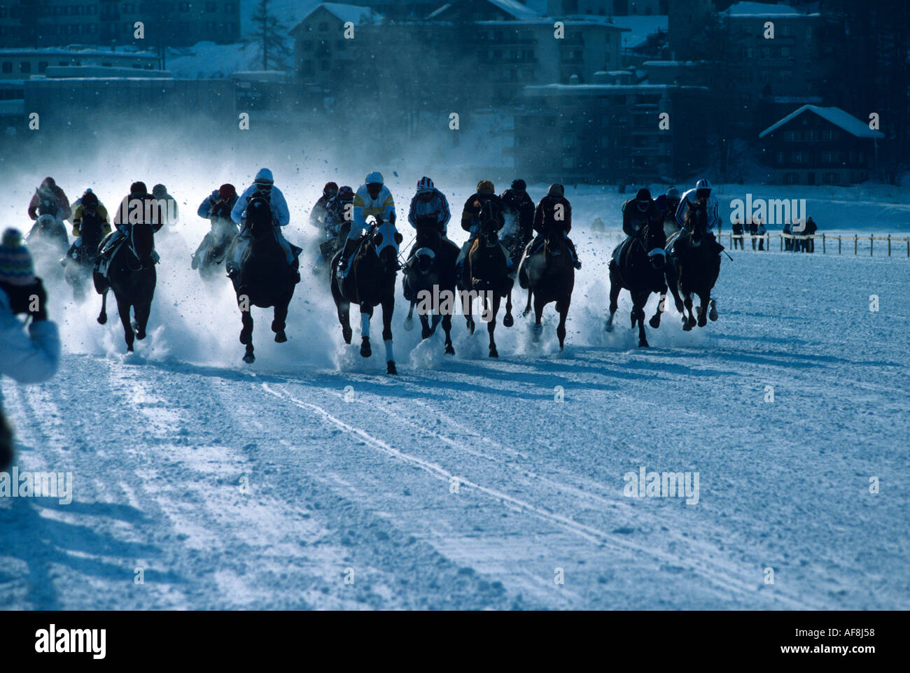 Winter horse racing with powder snow flying on track made on the frozen ...