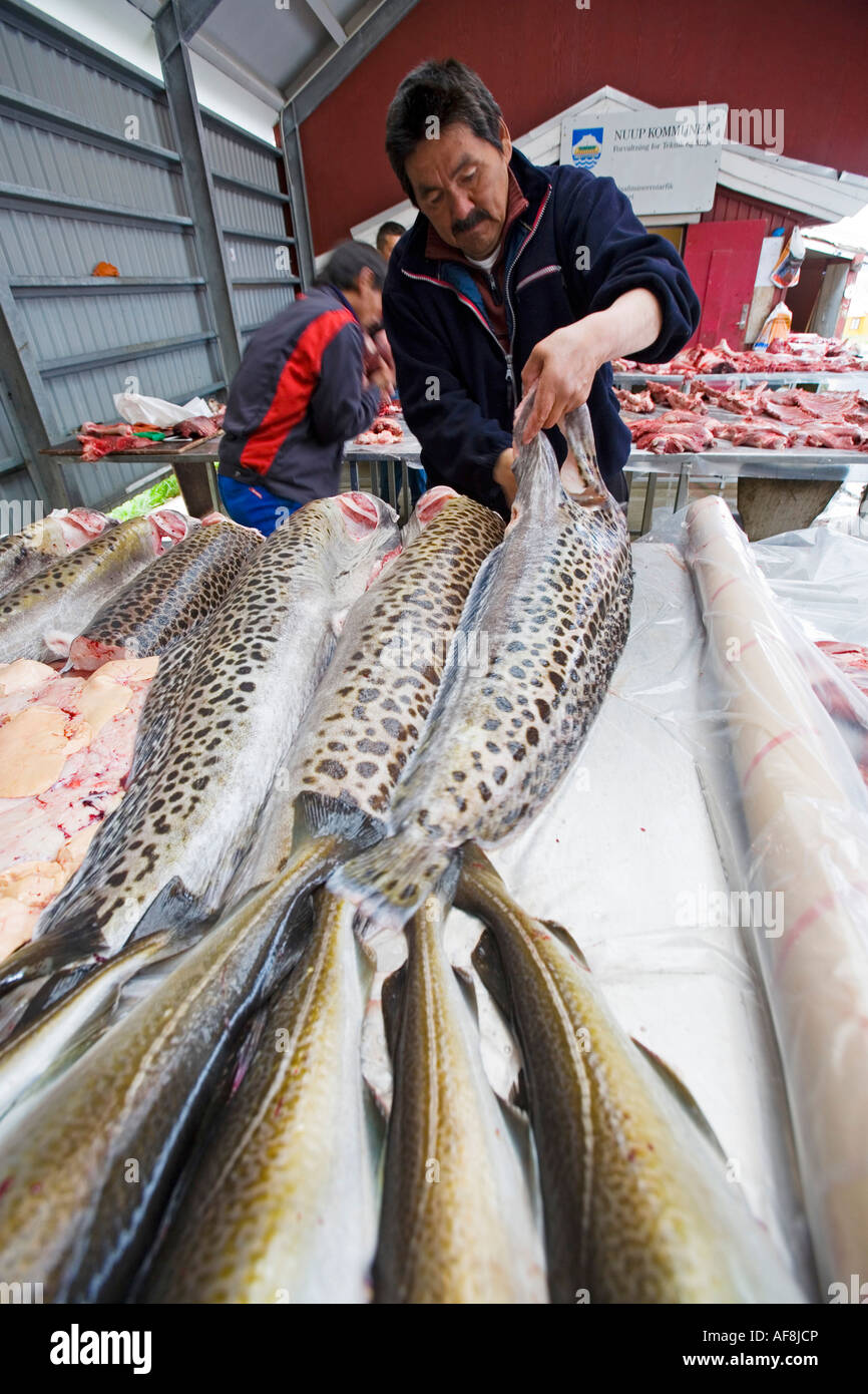 A Inuit, Eskimo prepares Catfish at the fish, and meatmarket of Nuuk ...
