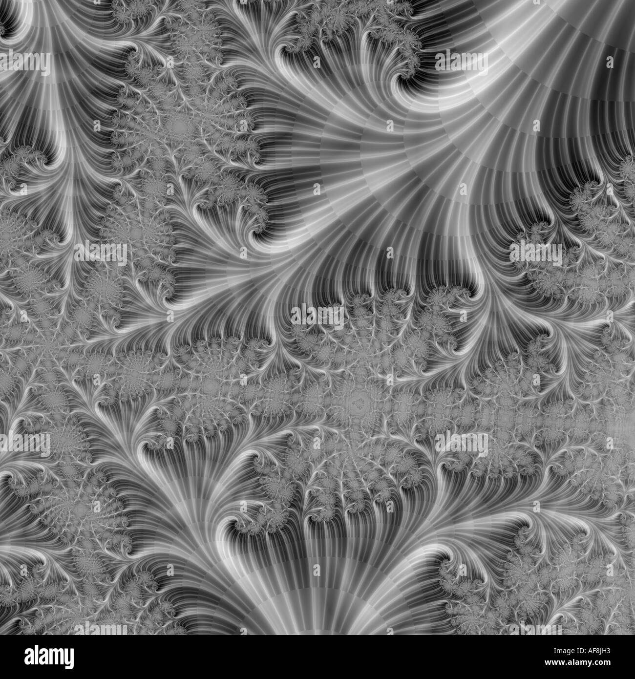 Dichotomy hi-res stock photography and images - Alamy