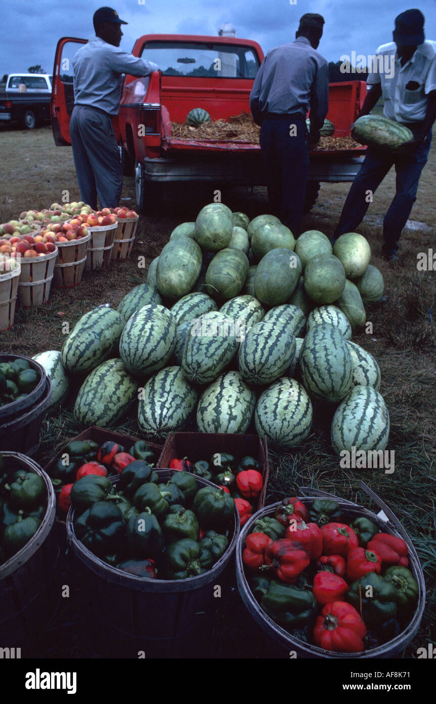 Delaware,Mid Atlantic,Delmarva Peninsula,The First State,Dover,farmers ...