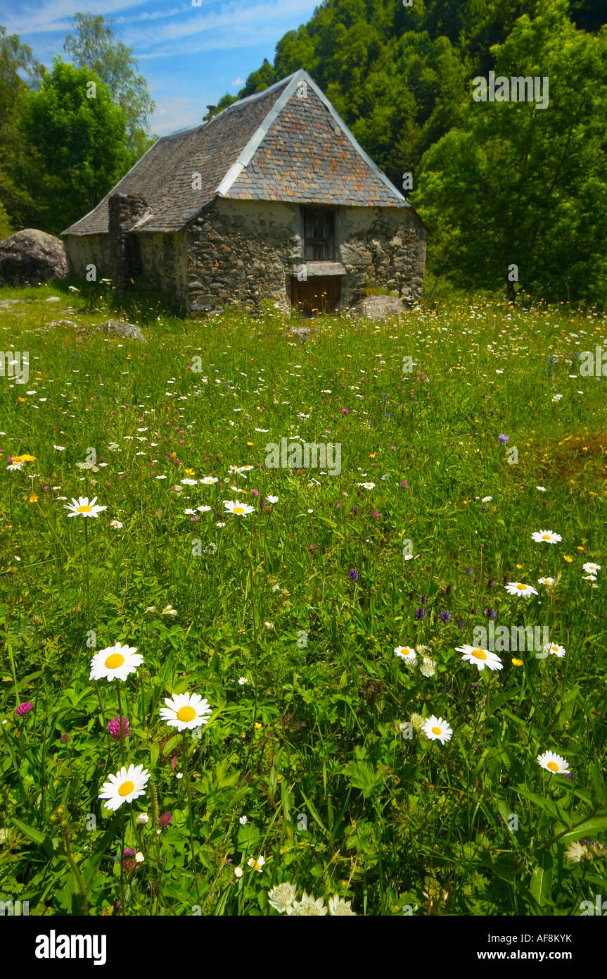 Vista del valle de Artiga de Lin. Vall d'Aran Lleida,Cataluña,España ...