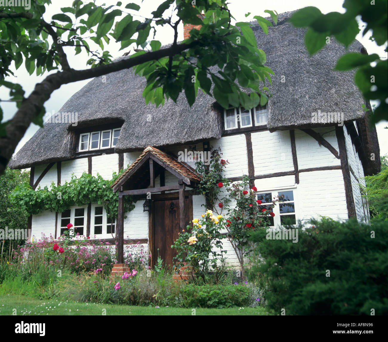 Traditional English Thatched Cottage Stock Photo - Alamy