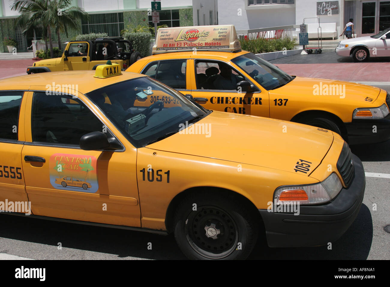 Miami Beach Florida,taxi cabs,yellow,visitors travel traveling tour ...