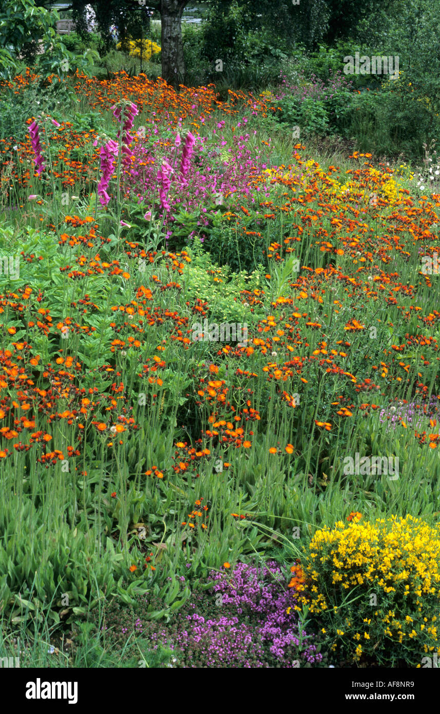 Garden designer julie toll hi-res stock photography and images - Alamy