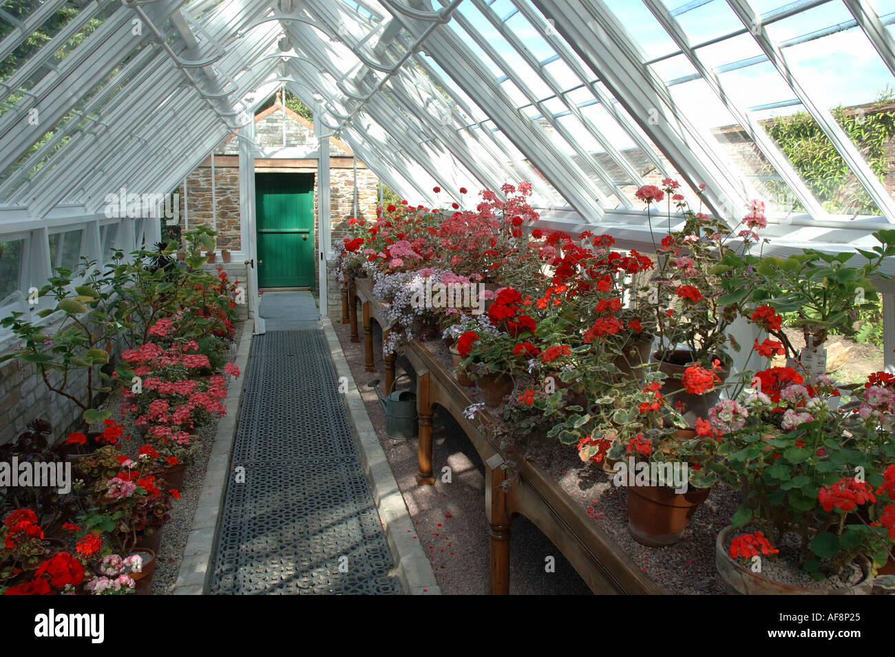 Heligan house lost gardens heligan hi-res stock photography and images ...