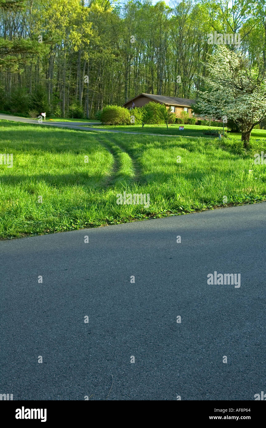 See through grass hi-res stock photography and images - Alamy