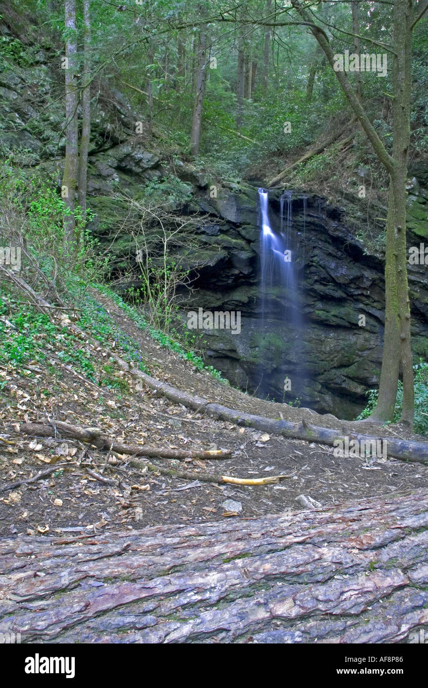 Great smoky mountains white oak sink hi-res stock photography and ...