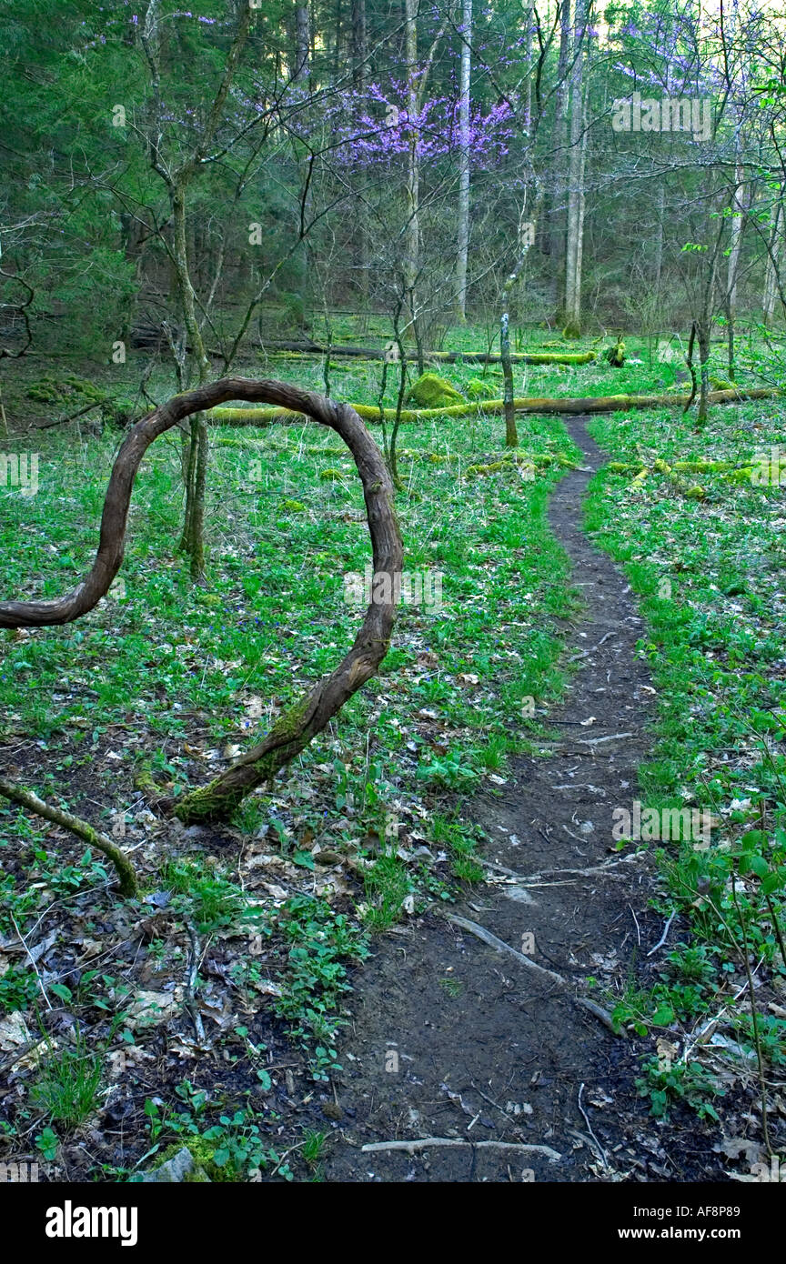 Great Smoky Mountains White Oak Sink High Resolution Stock Photography ...