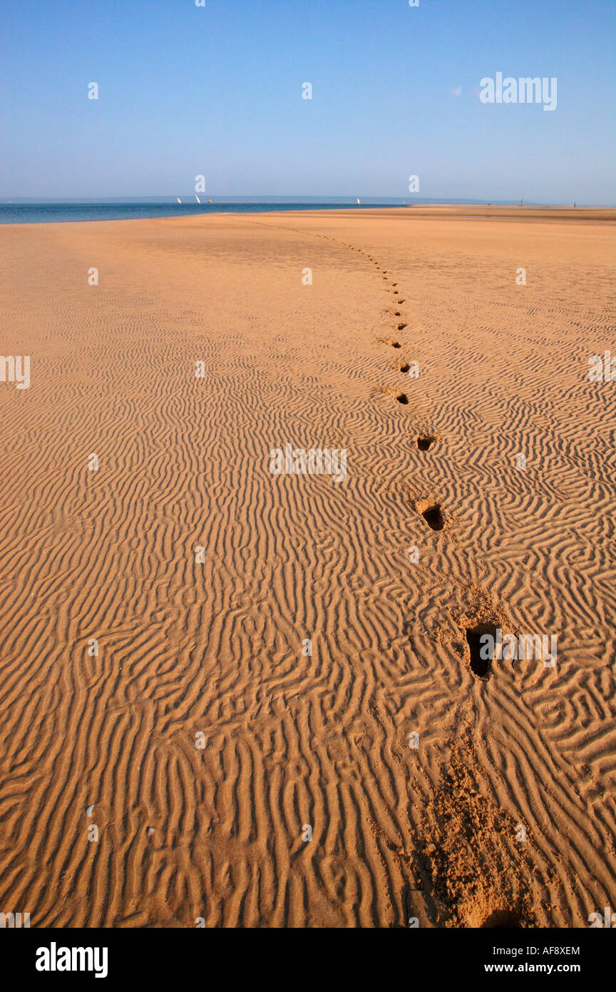 Footprints crossing vast expanse of golden brown beach towards white ...
