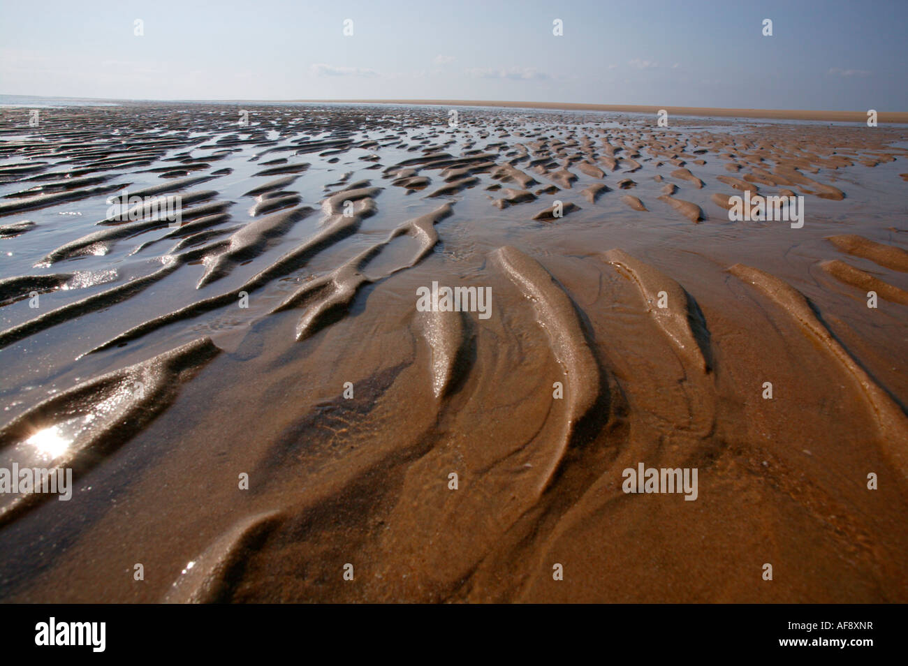 Sand ripples on a wet beach Stock Photo - Alamy