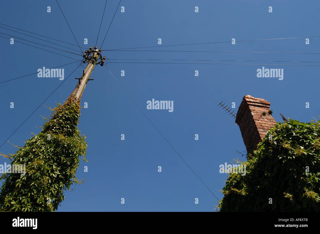 A telegraph pole against blue sky, Devon uk Stock Photo - Alamy