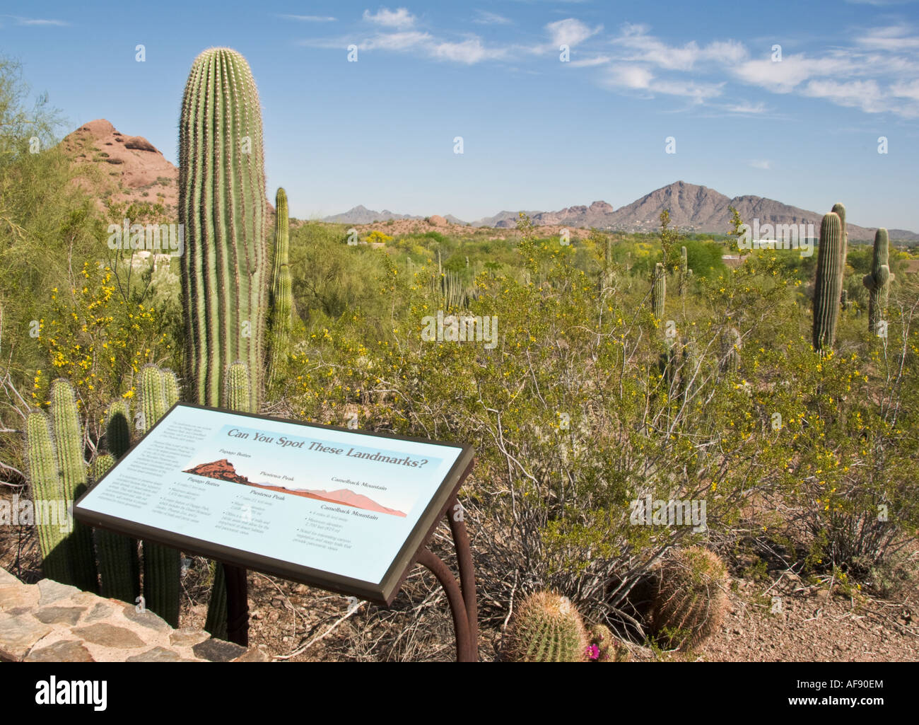 Arizona Phoenix Desert Botanical Garden interpretive sign Stock Photo ...