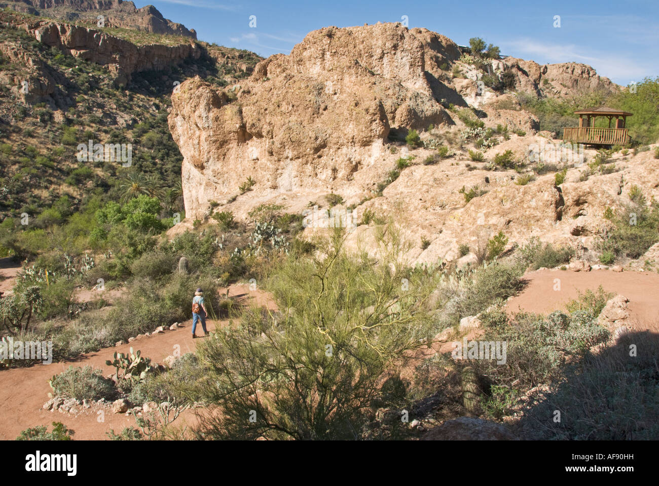 Arizona Superior Boyce Thompson Arboretum female visitor on trail MR ...