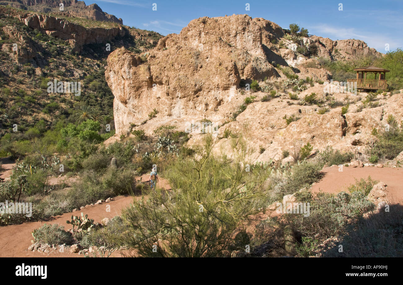 Arizona Superior Boyce Thompson Arboretum female visitor on trail MR ...