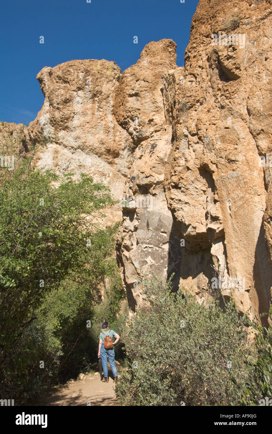 Arizona Superior Boyce Thompson Arboretum female visitor on trail MR ...