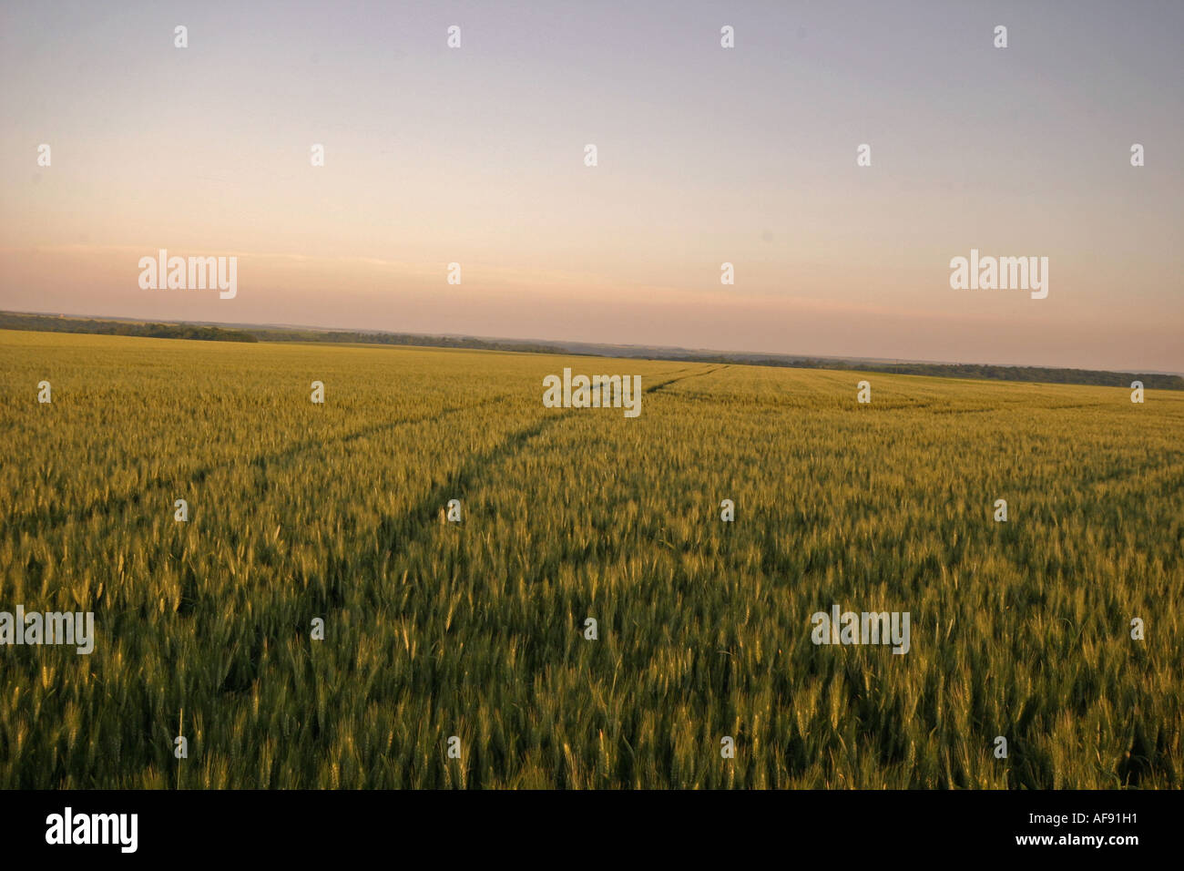 Intensive color fields hi-res stock photography and images - Alamy