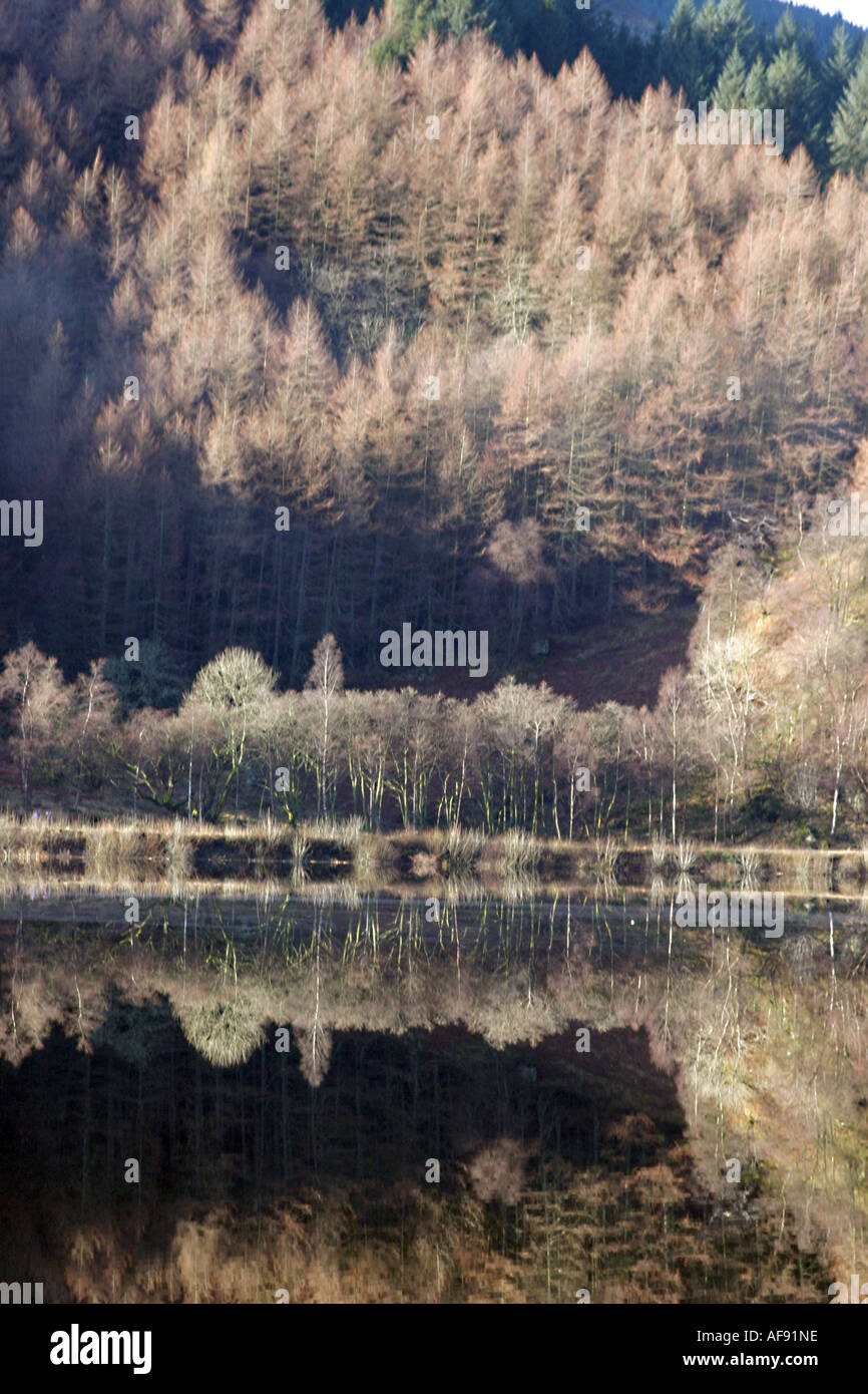 A Stock Photograph of Loch in Perthshire Scotland with trees reflecting ...