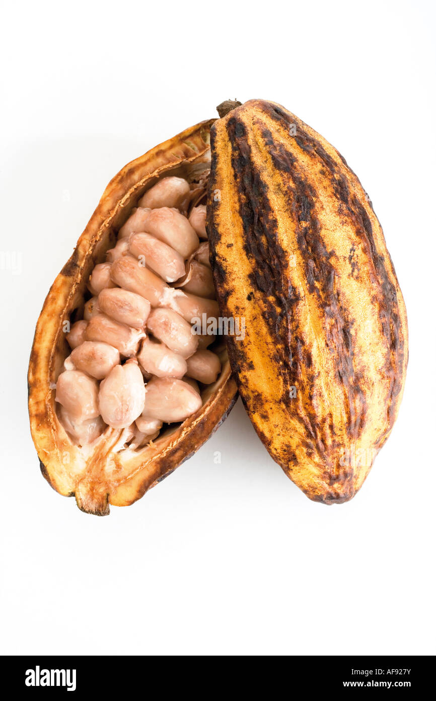 Open cocoa husk, elevated view Stock Photo - Alamy