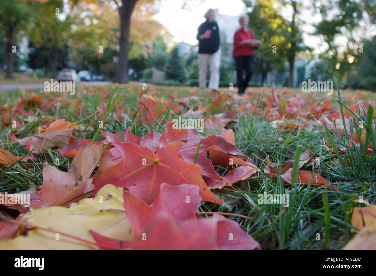 Autumn leaves and people walking Stock Photo - Alamy