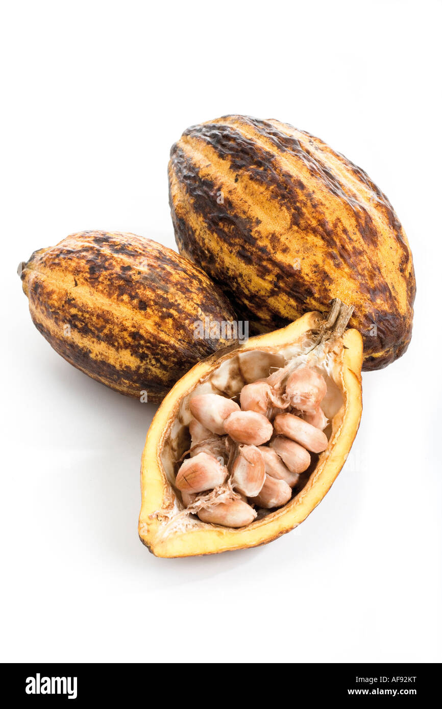 Cacao plant, husk and beans Stock Photo - Alamy