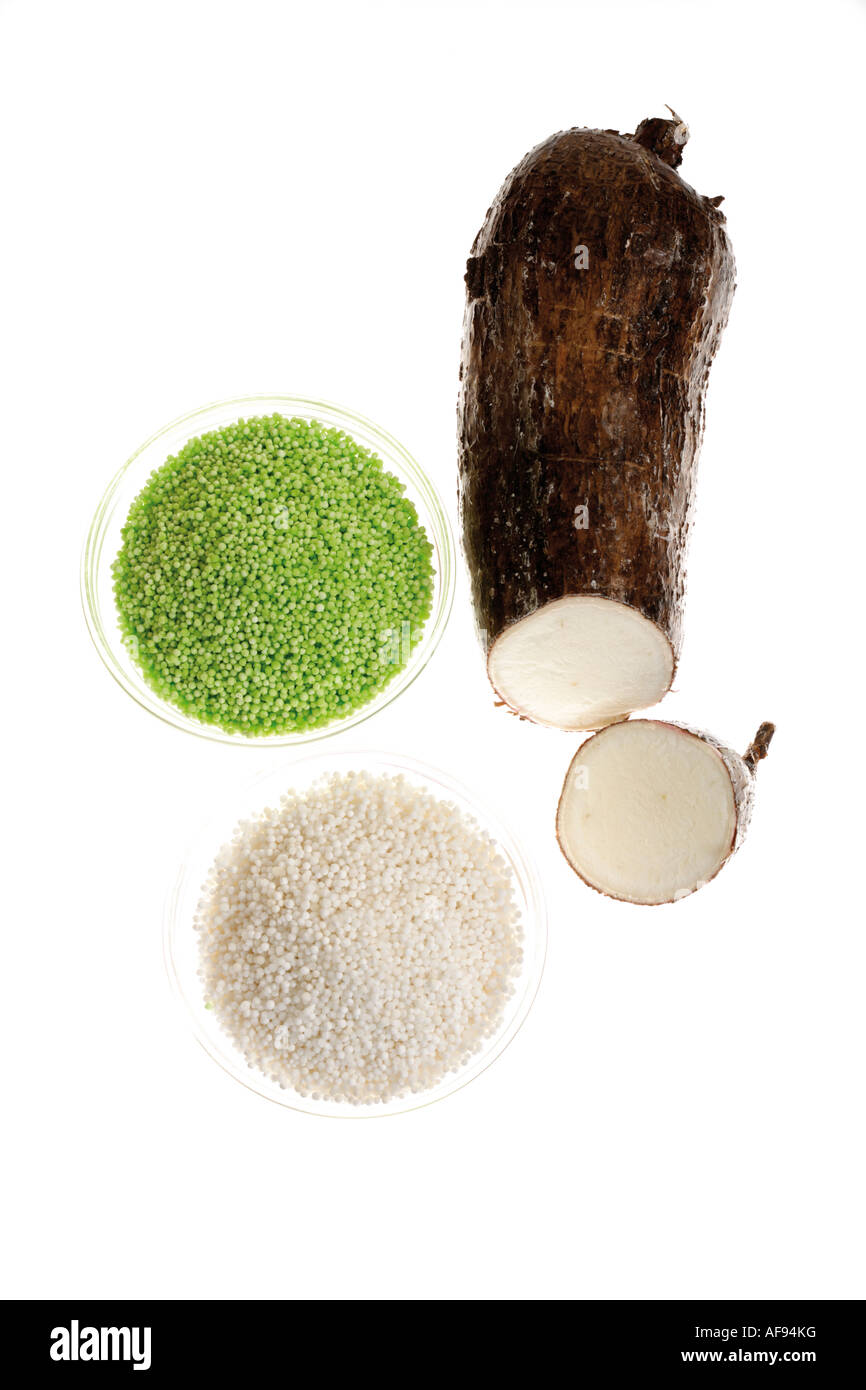 Tapioca root hi-res stock photography and images - Alamy