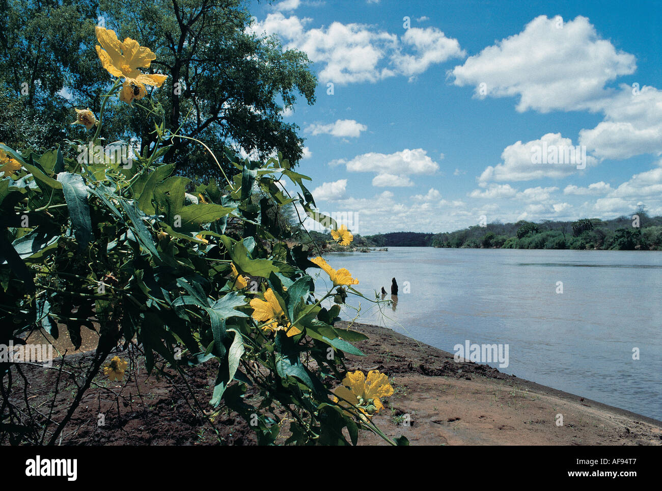 Tana river kenya hi-res stock photography and images - Alamy