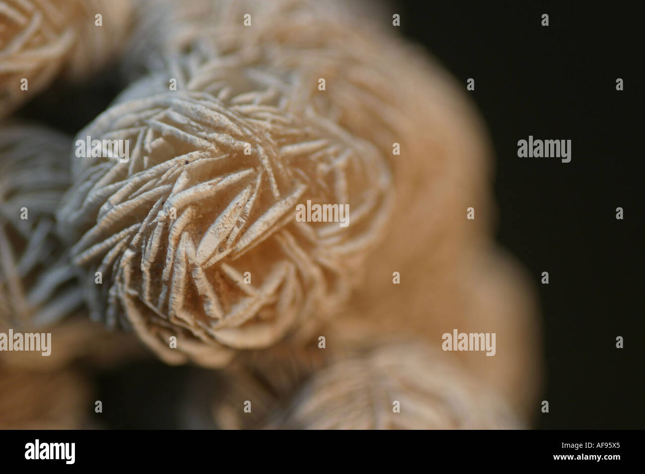 A Stock Photograph of a Desert Rose Rock Stock Photo - Alamy