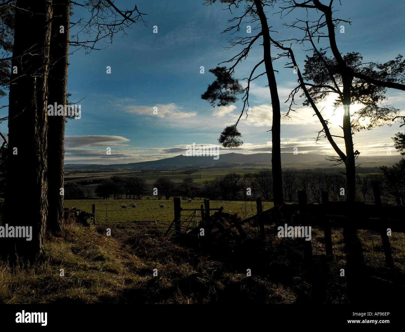Bennachie scotland hi-res stock photography and images - Alamy