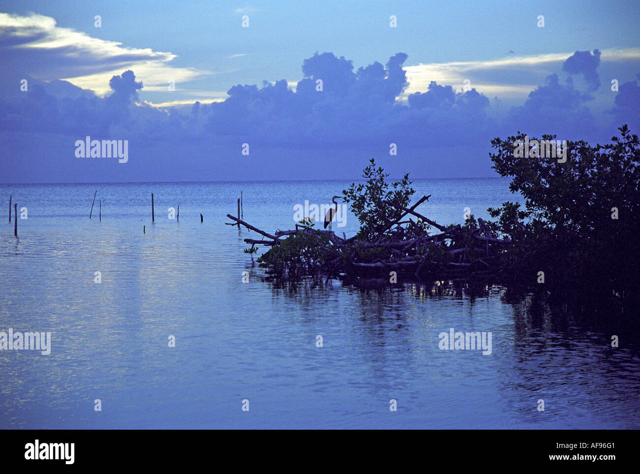 CAYE CAULKER BELIZE CENTRAL AMERICA August The sun sets over the calm ...
