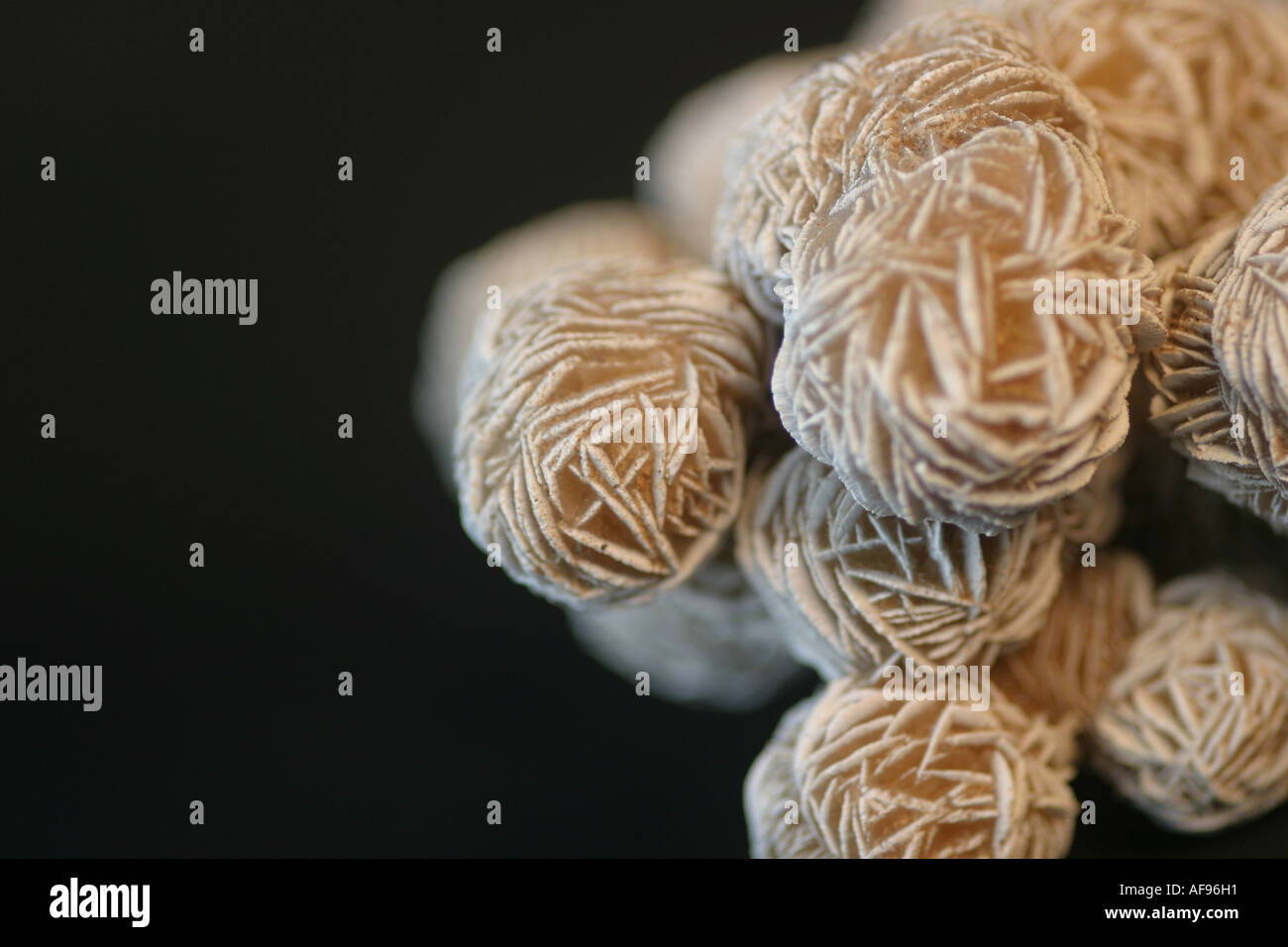 A Stock Photograph of a Desert Rose Rock Stock Photo - Alamy