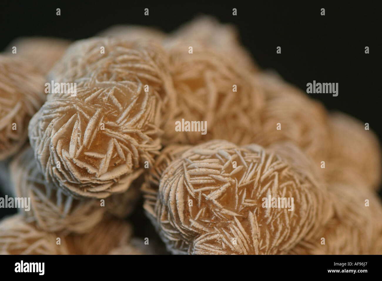 A Stock Photograph of a Desert Rose Rock Stock Photo - Alamy