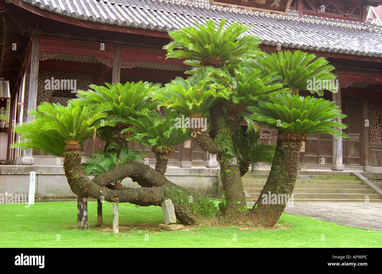 Buddhist temple in nagasaki hi-res stock photography and images - Alamy
