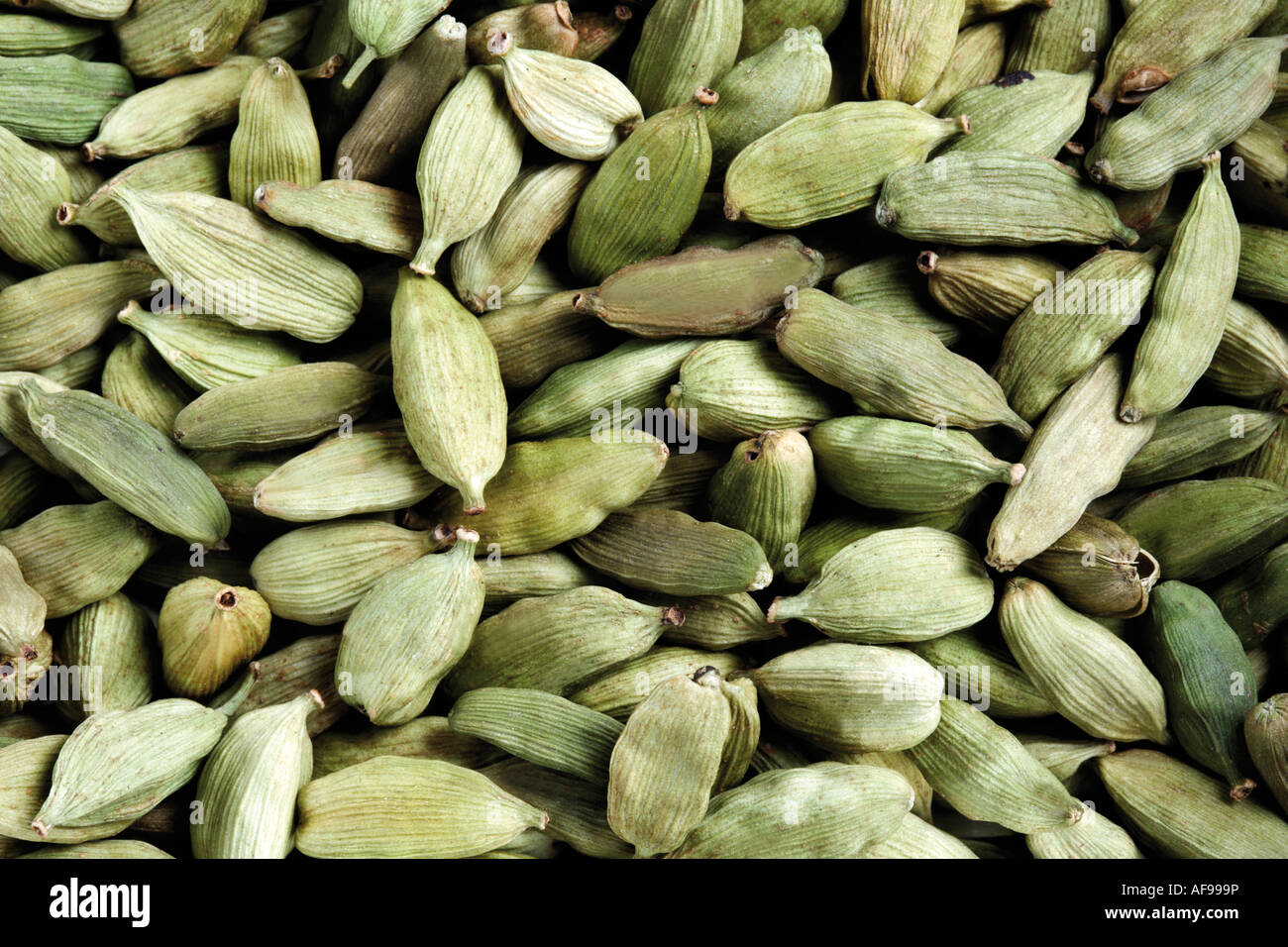 Green cardamom capsules, close-up Stock Photo - Alamy
