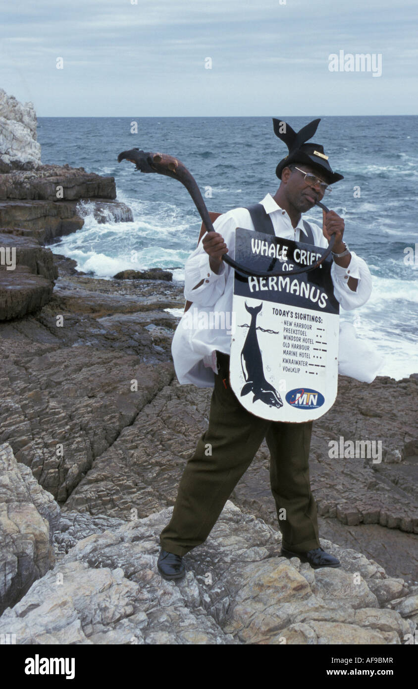 The whale crier of hermanus hi-res stock photography and images - Alamy