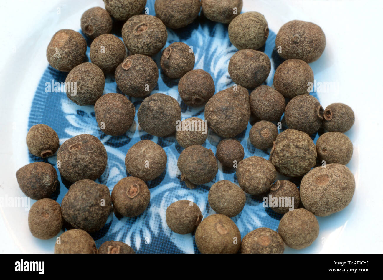 allspice, pimento (Pimenta dioica), dried fruits Stock Photo - Alamy