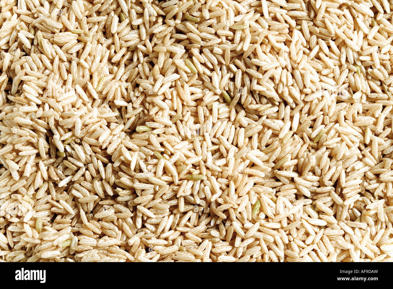 Longgrain rice, close-up Stock Photo - Alamy