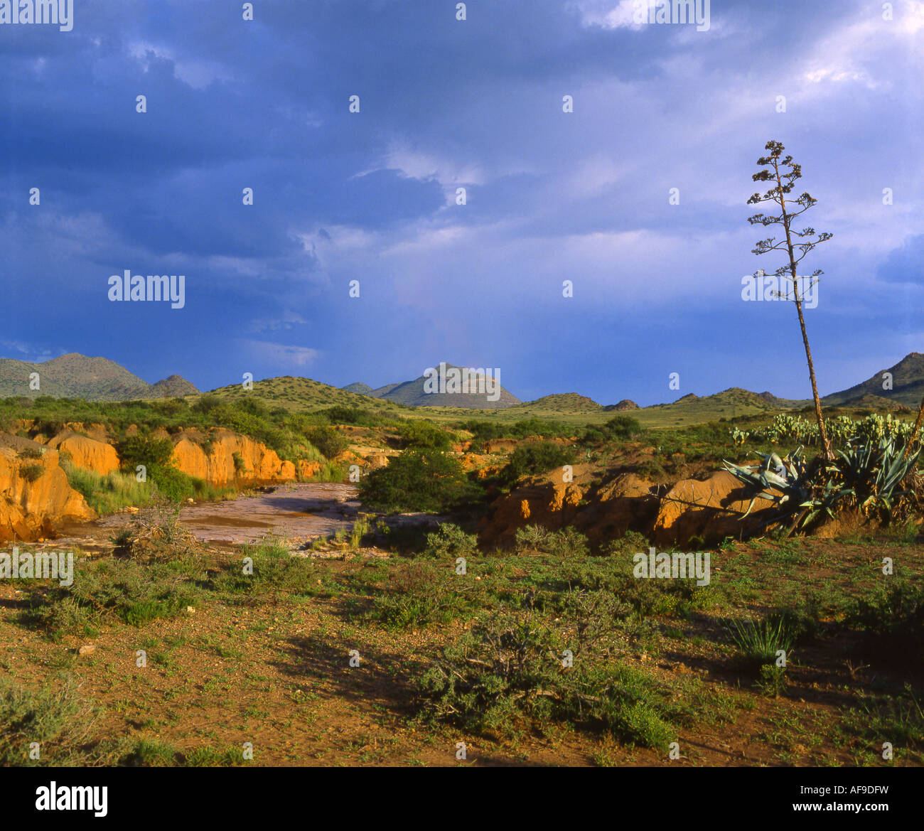 Steynsburg hi-res stock photography and images - Alamy