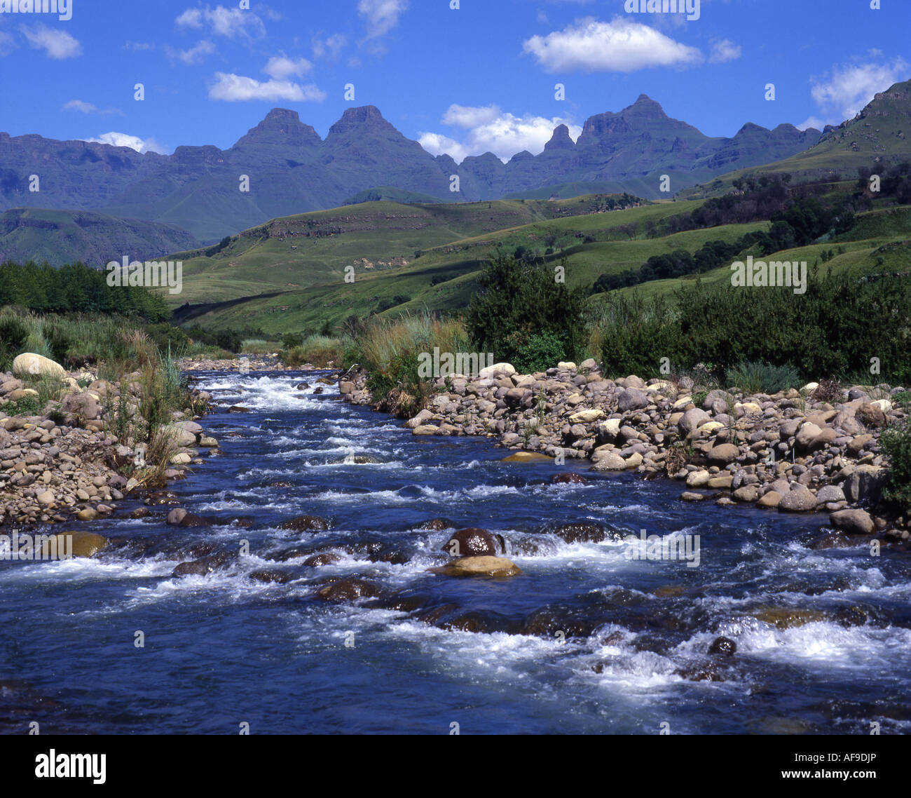 Drakensberg mountain stream in the Cathedral Peak area Drakensberg ...