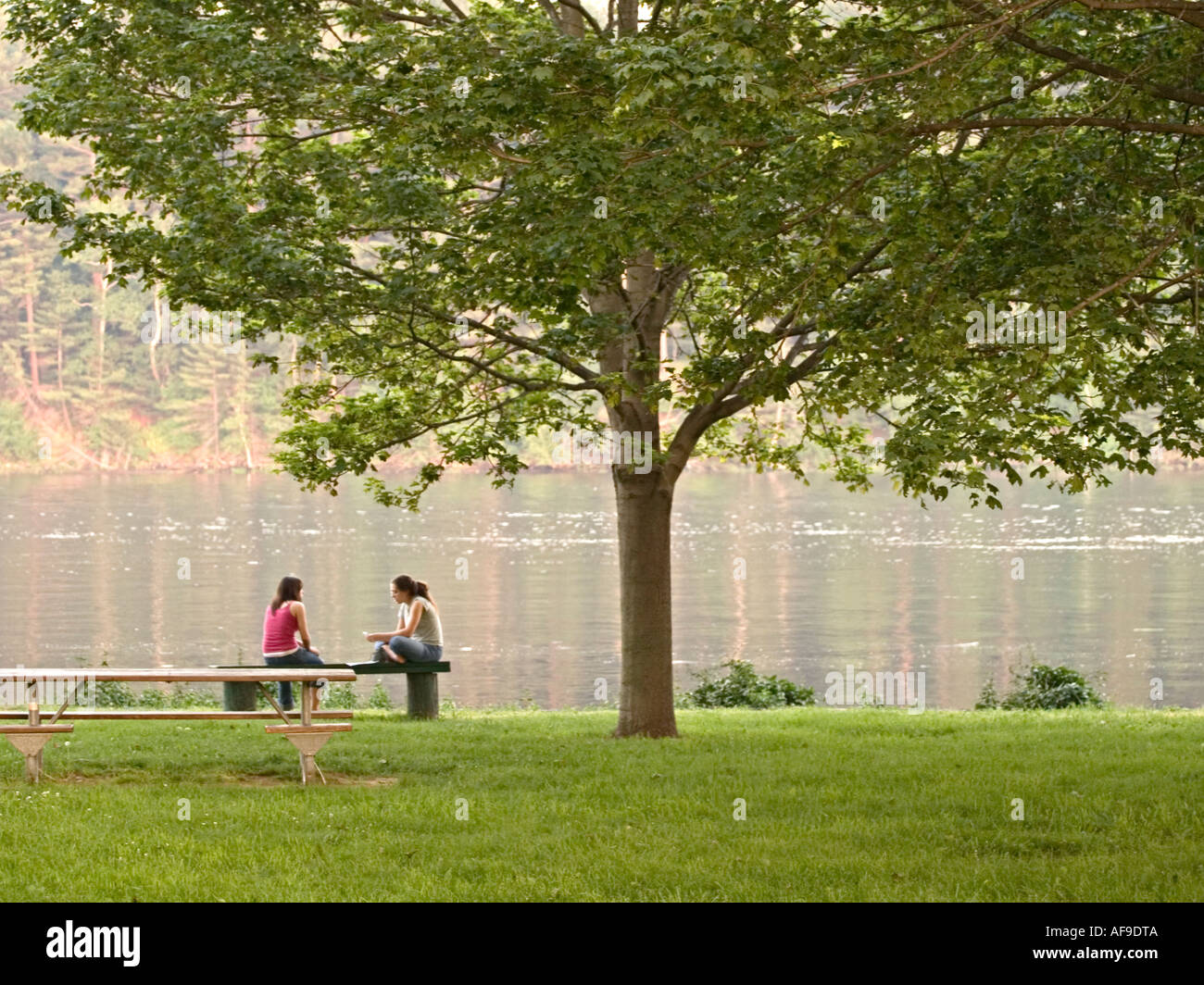 Two girls sitting under a shade tree Stock Photo - Alamy