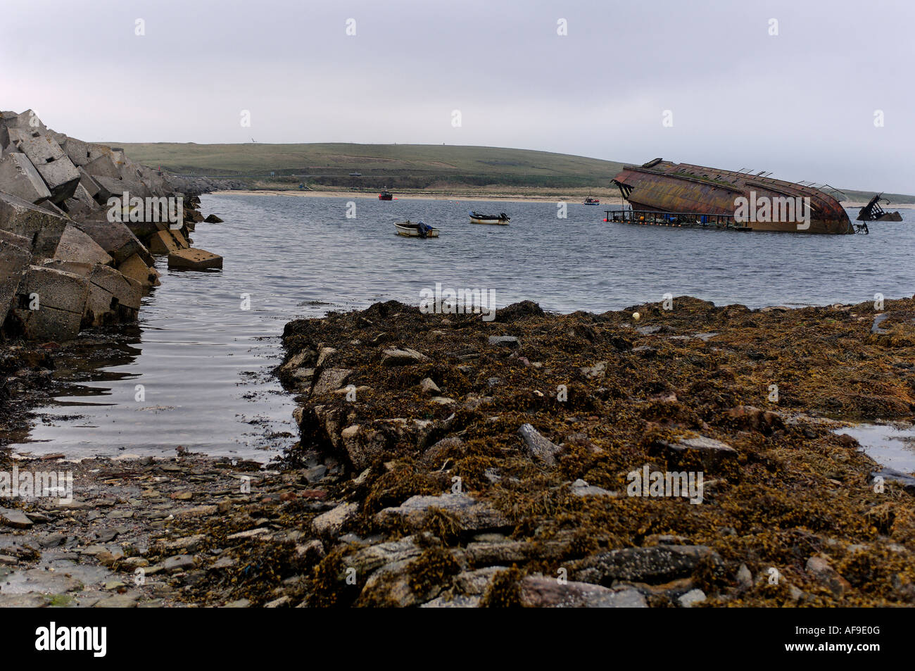 Scapha High Resolution Stock Photography and Images - Alamy