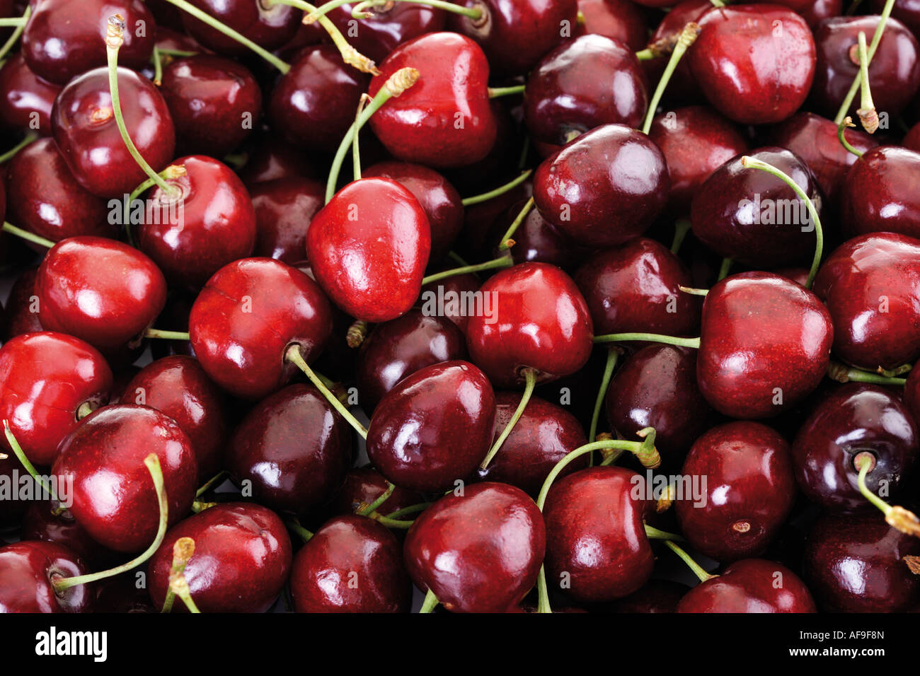 Fresh cherries close-up, full frame Stock Photo - Alamy
