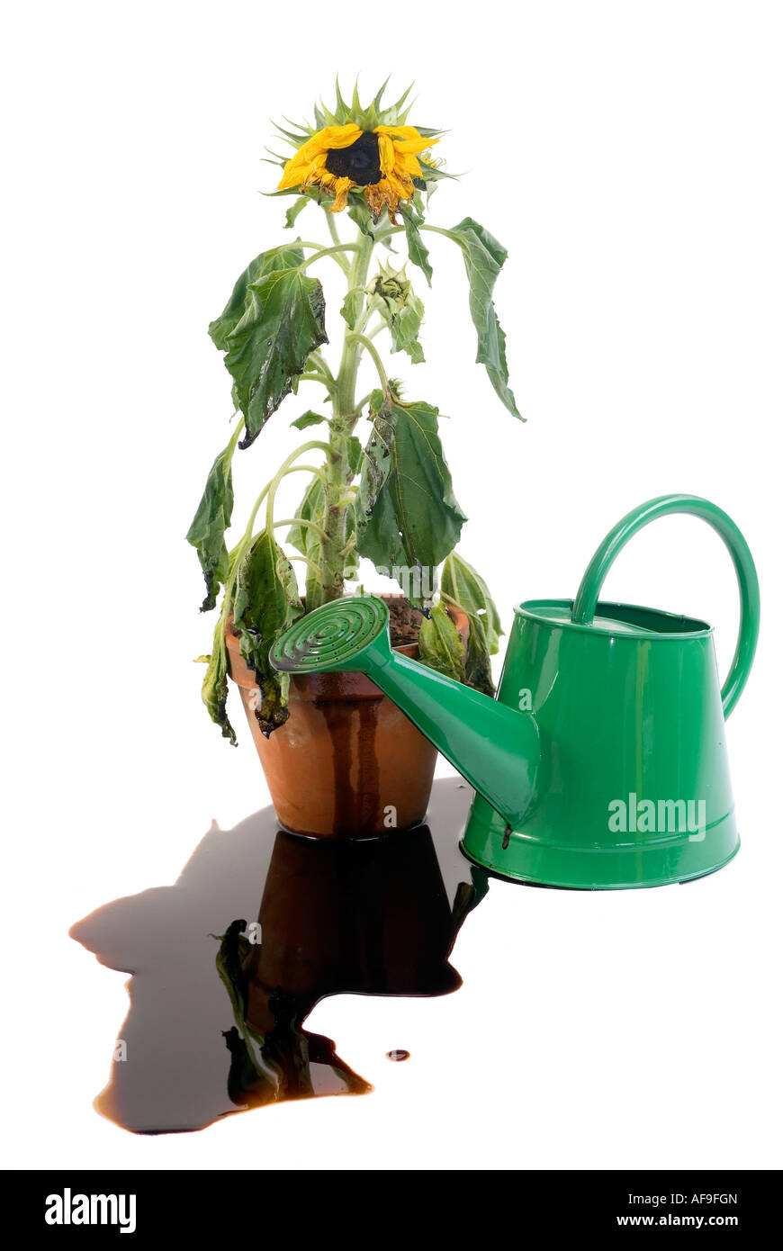 What we do has wide reaching consequences Where does all your motor oil ...