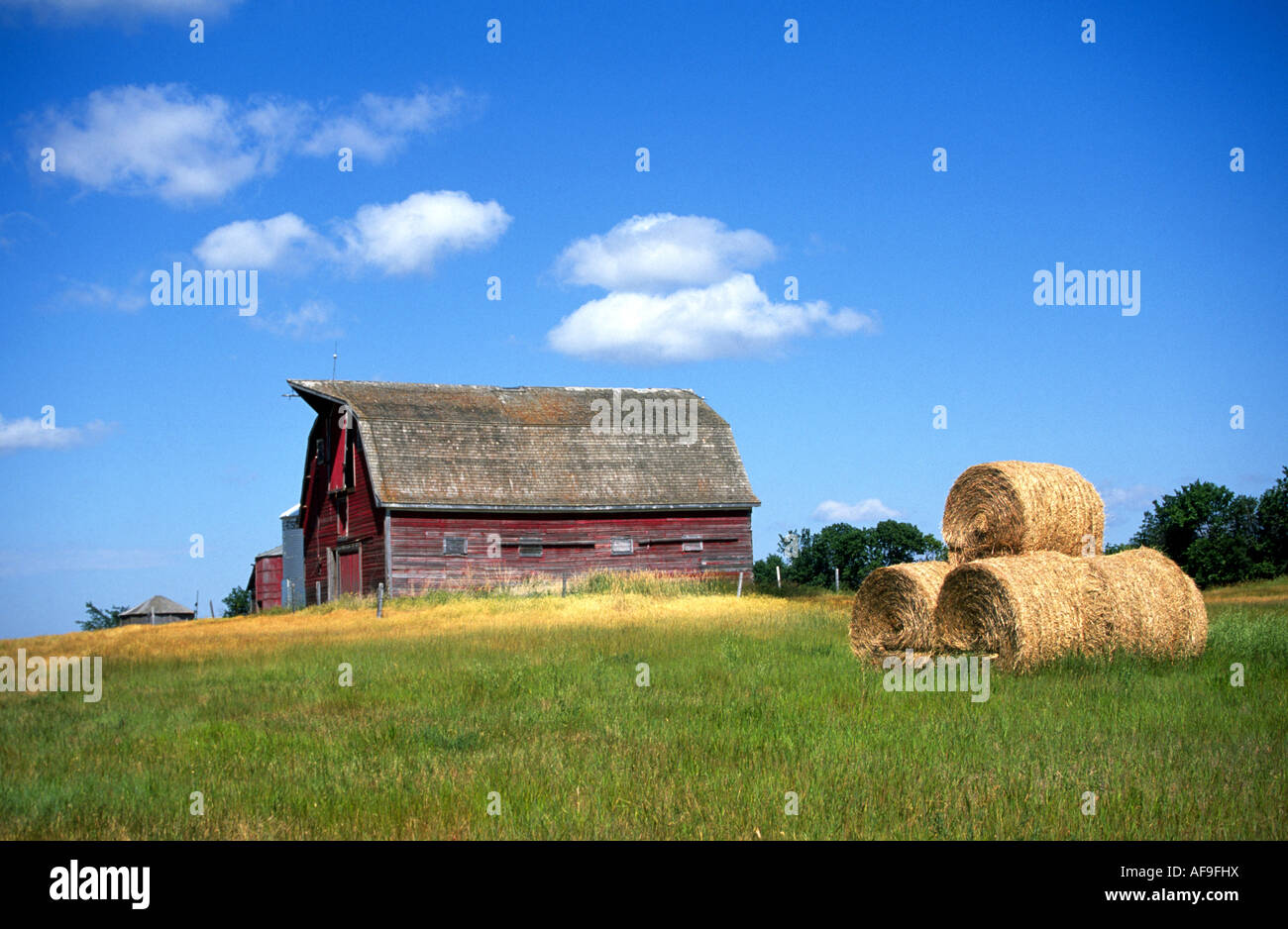 Great plains wheat hi-res stock photography and images - Alamy