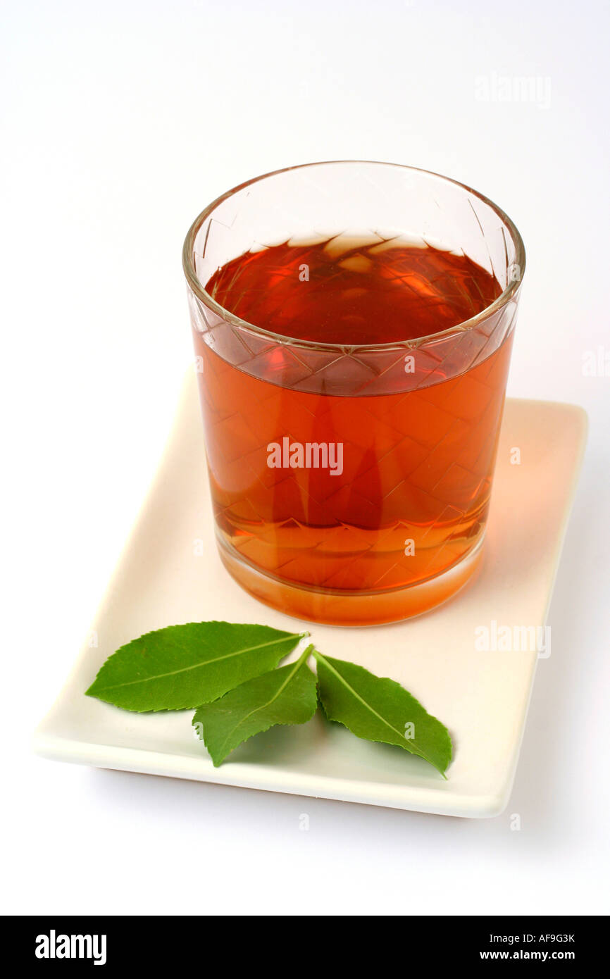 Kombucha tea (traditional drink from China Stock Photo - Alamy